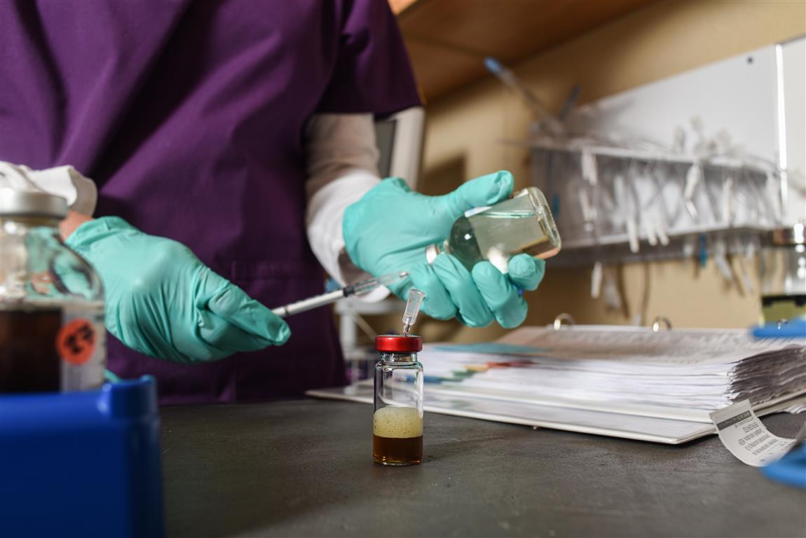 Intradermal Allergy Testing | Animal Allergy & Dermatology